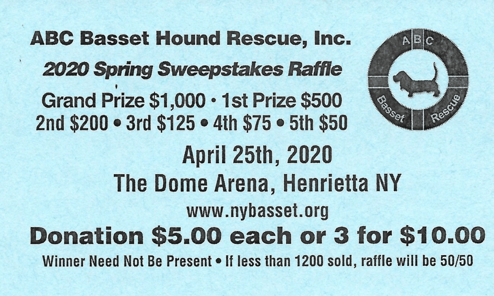 Spring Basset Blast | All Bassets Cherished Basset Hound Rescue, Inc.