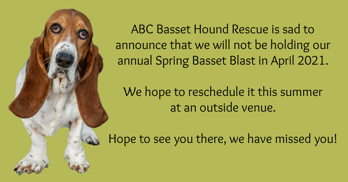 Spring Basset Blast | All Bassets Cherished Basset Hound Rescue, Inc.