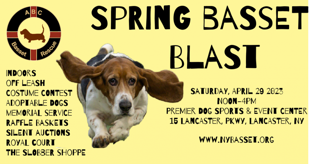 Spring Basset Blast | All Bassets Cherished Basset Hound Rescue, Inc.