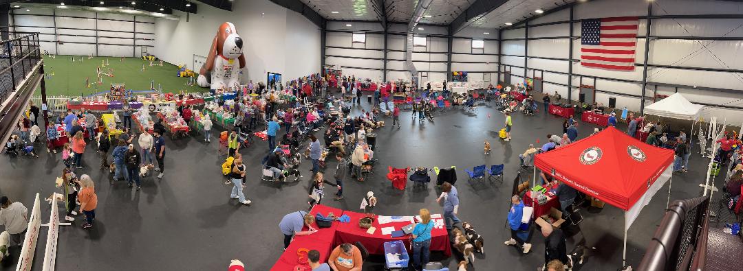 Spring Basset Blast | All Bassets Cherished Basset Hound Rescue, Inc.