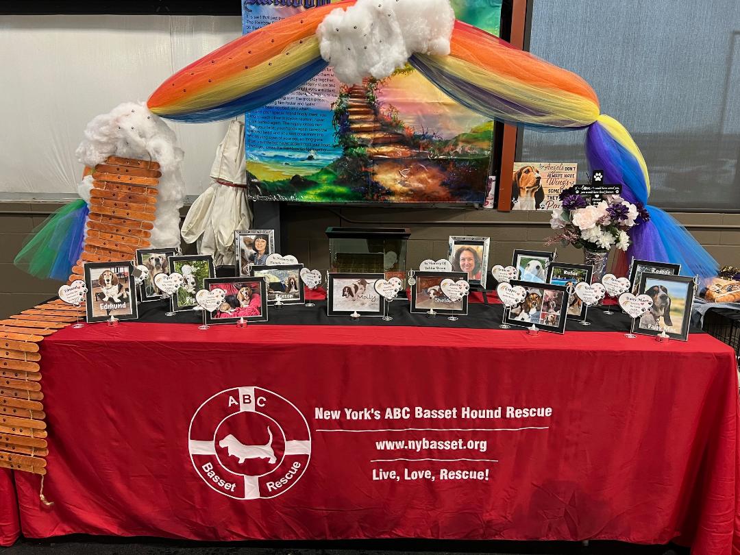 Spring Basset Blast | All Bassets Cherished Basset Hound Rescue, Inc.